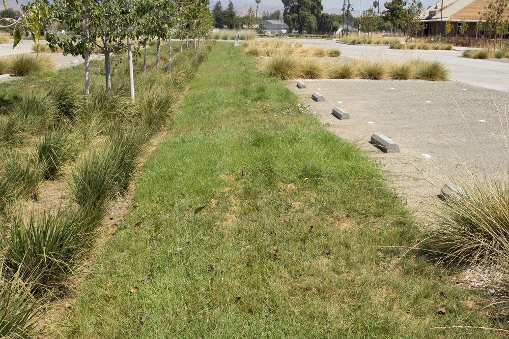 Bioswales: A green solution to stormwater management - Gonzalez ...